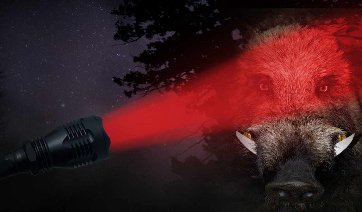 A Simple Guide for Lighting Options for Night Hunting